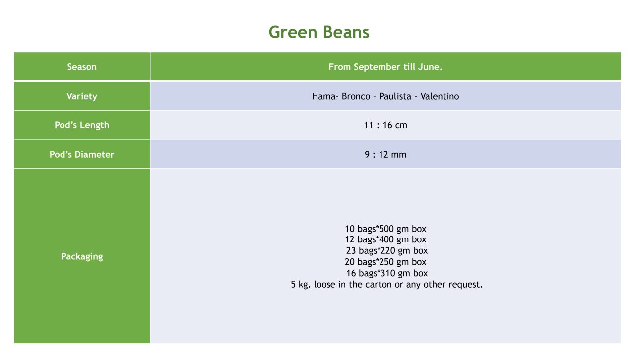 Green Beans | Green Tiba