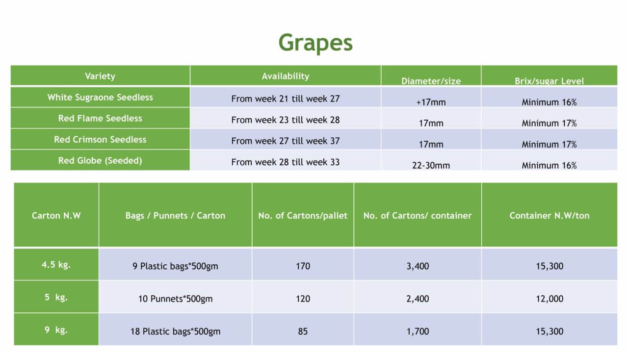 Fresh Grapes | Green Tiba