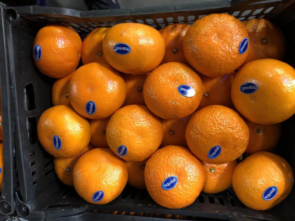 Honey Murcott | Green Tiba